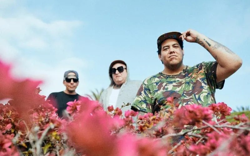 Sublime With Rome release new album ‘Blessings’ | Wasted Attitude