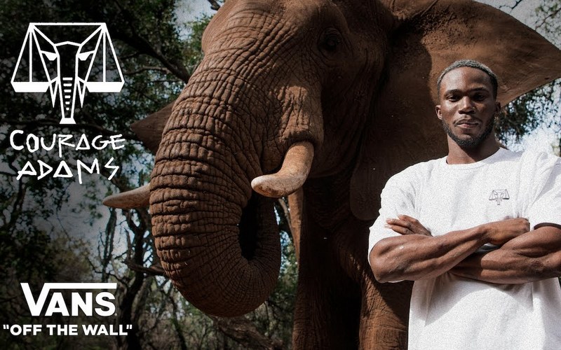 Courage Adams drops ‘Balance,’ a brand new part for Vans BMX | Wasted ...